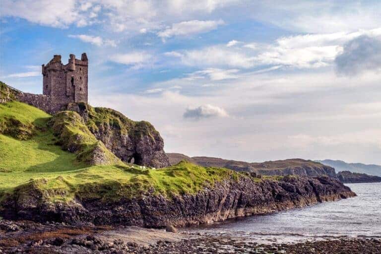 Are there bears in Scotland? Unlocking the Mystery – Nature and ...