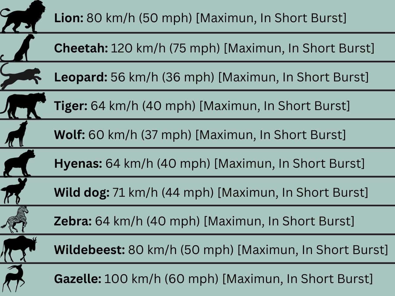 Lion Speed Explained: Biomechanics to Conservation - Nature and Wildlife TV